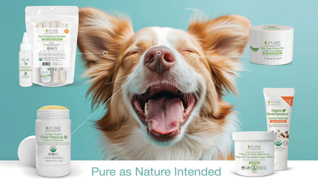 Pure And Natural Pet – PURE AND NATURAL PET