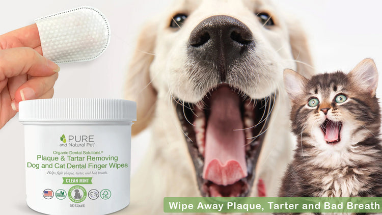 Pure And Natural Pet – PURE AND NATURAL PET